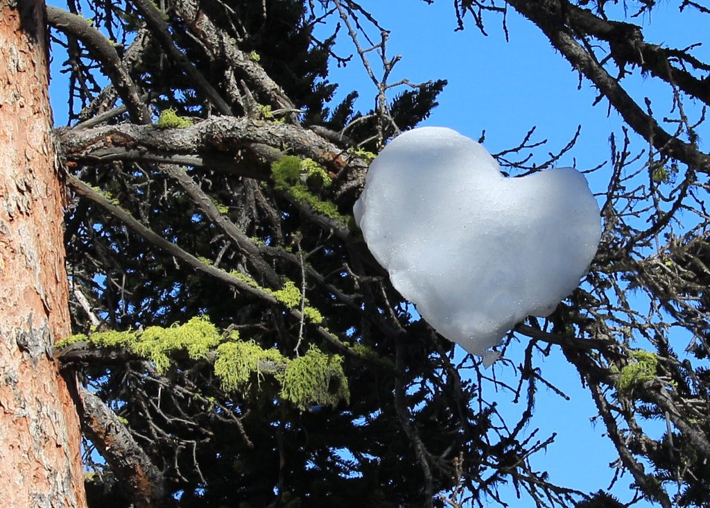 While taking photos at the Lower Falls in Yellowst ... by Carol Bock ...