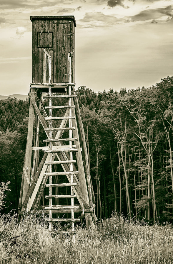 Rustic Watchtower in Sepia | landscape photo by Bodo Koltermann | 500px