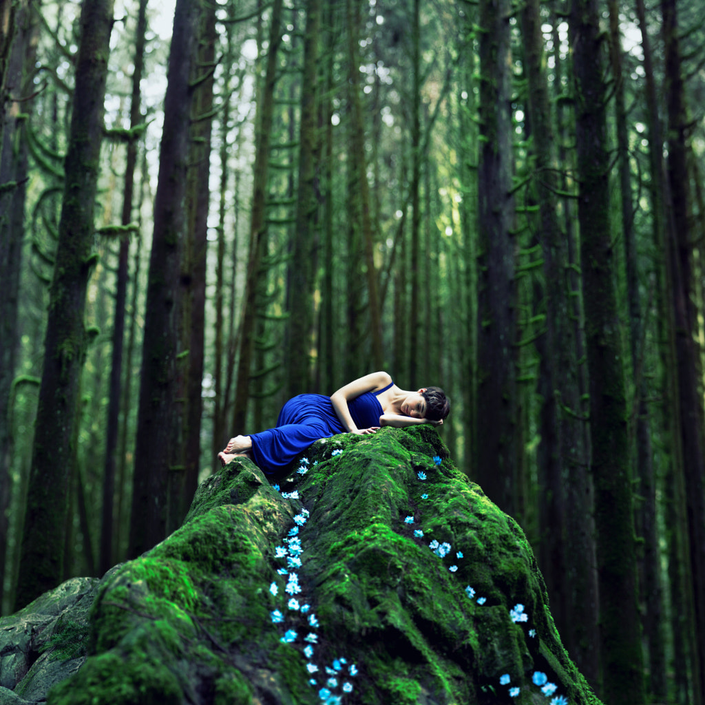 Even Fairies Cry by Rob Woodcox / 500px