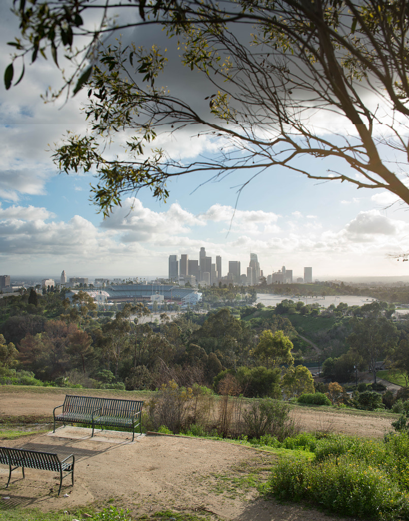 Lawrence Vaughan Griffin Dodger Stadium Overlook by Lawrence Griffin ...