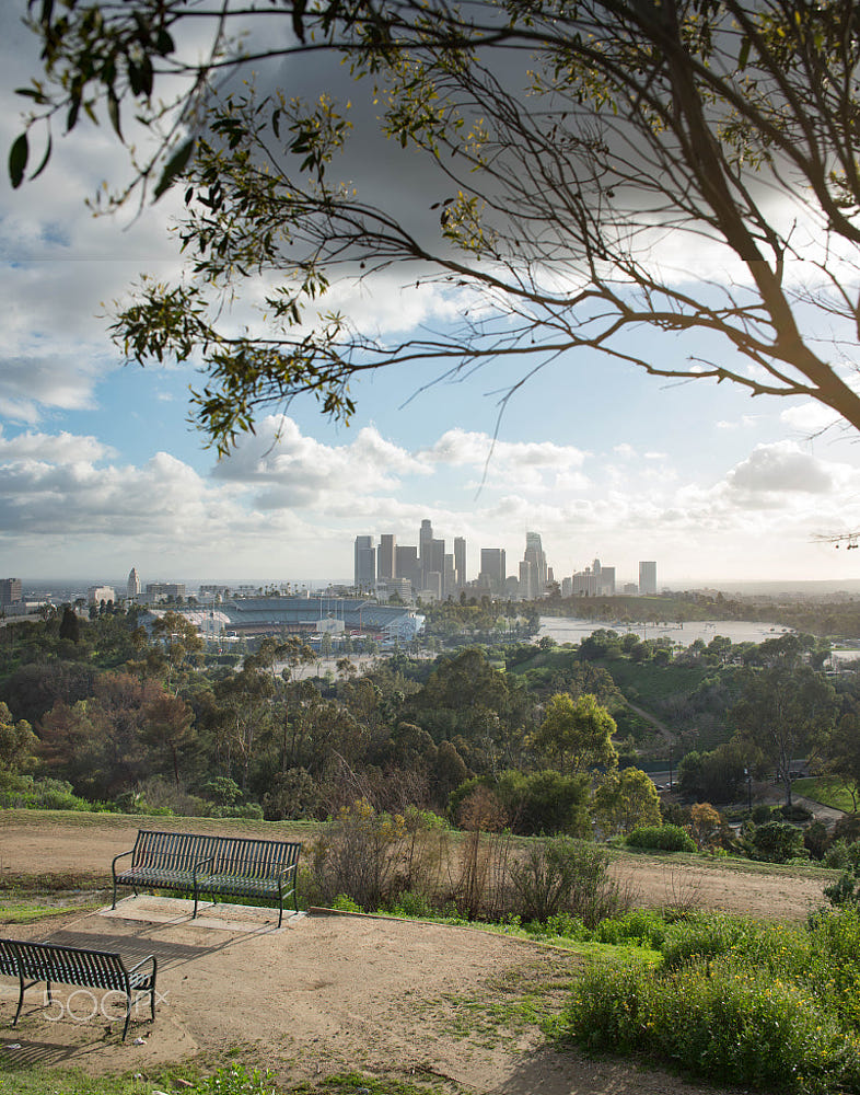 Lawrence Vaughan Griffin Dodger Stadium Overlook by Lawrence Griffin ...