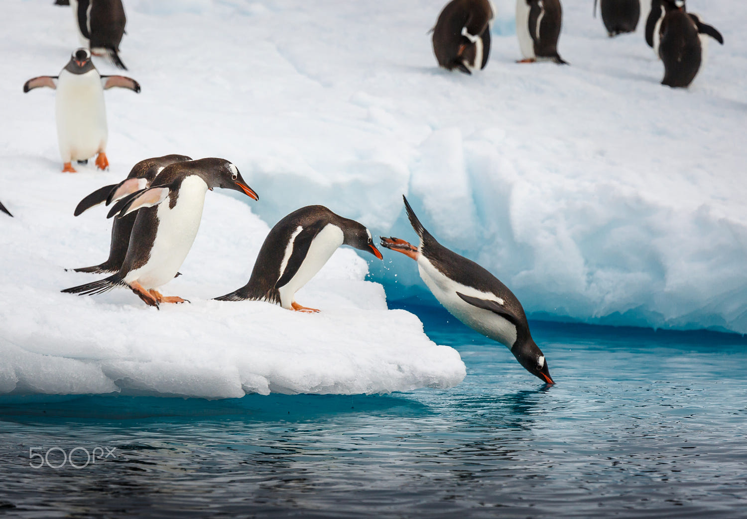 Go Time by David Merron / 500px