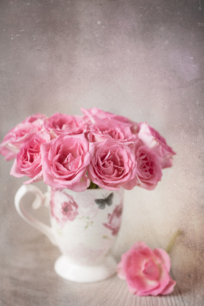 Vintage roses by Stefan Mogyorosi / 500px