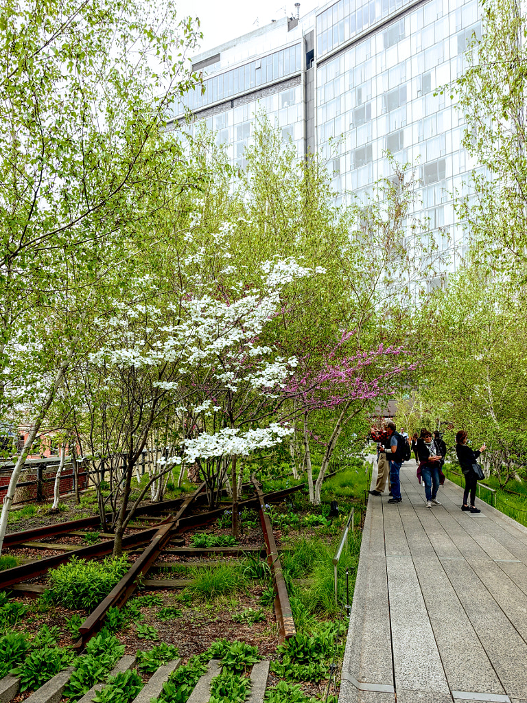 SPRING ON THE HIGH LINE by Marlene Calderon / 500px