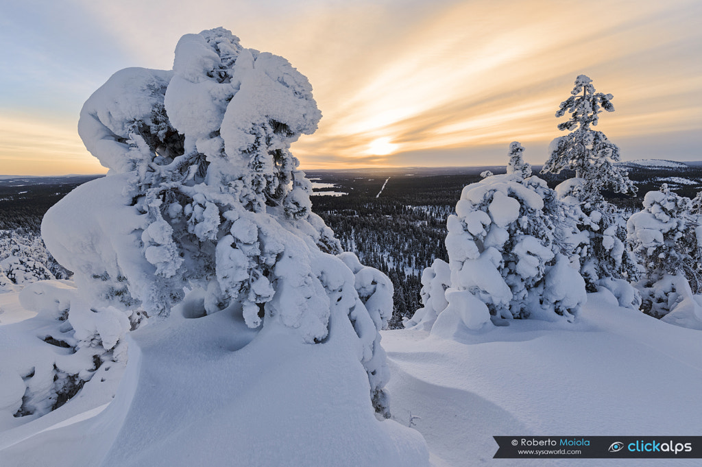Nature's Sculptures by Roberto Sysa Moiola / 500px