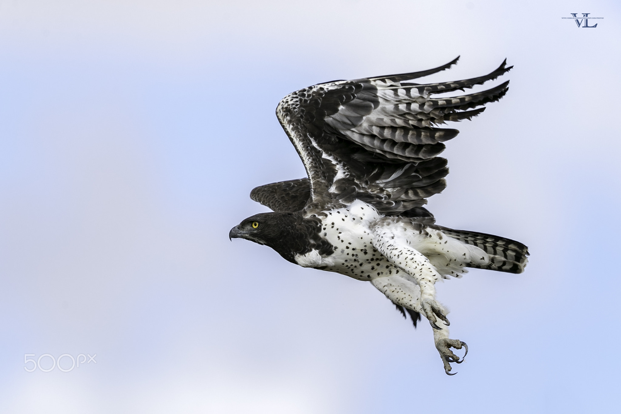 take me home by Owen Jason Kandume | 500px