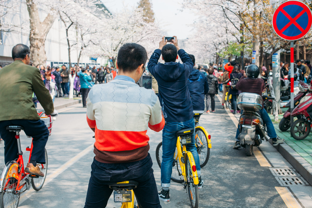 鸡鸣寺樱花 by Yimin Liu / 500px