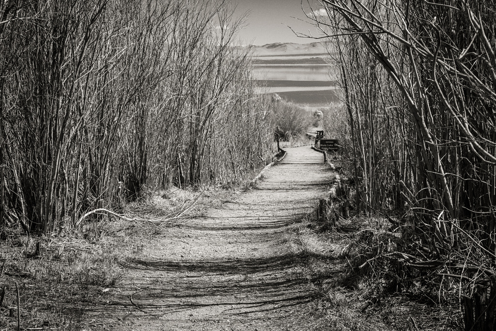 Walkway 2 by Suk Choo Kim / 500px