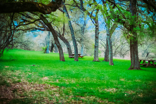 Park bench under the trees by Derrick Massey / 500px