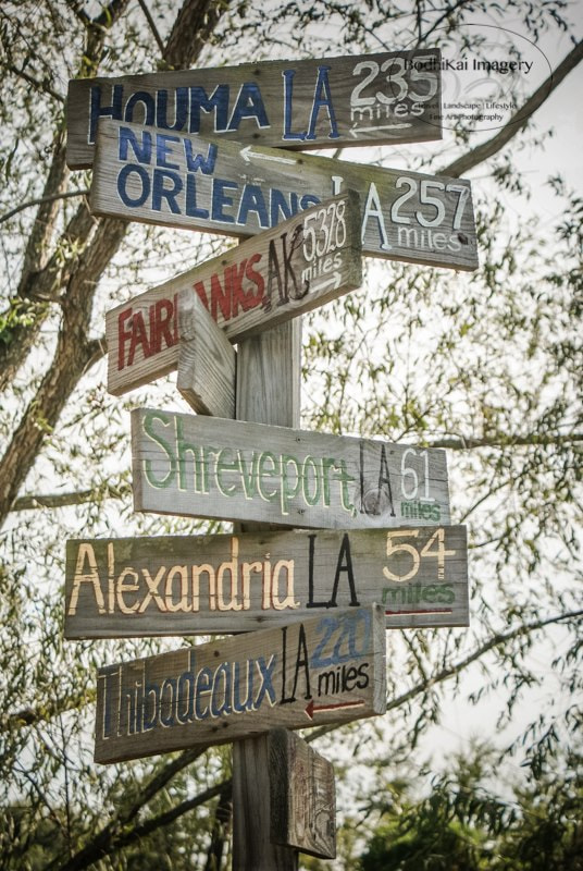 Which way do we go? by Melanie Barrow / 500px