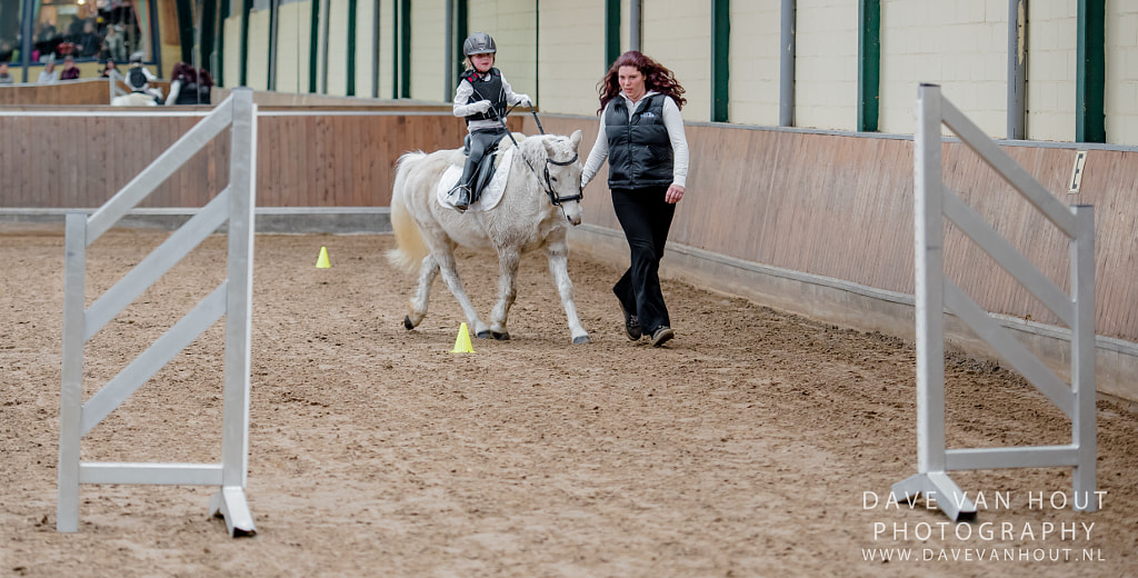 Lisa Dankers Lotje Bixie King Stables by Dave van Hout / 500px