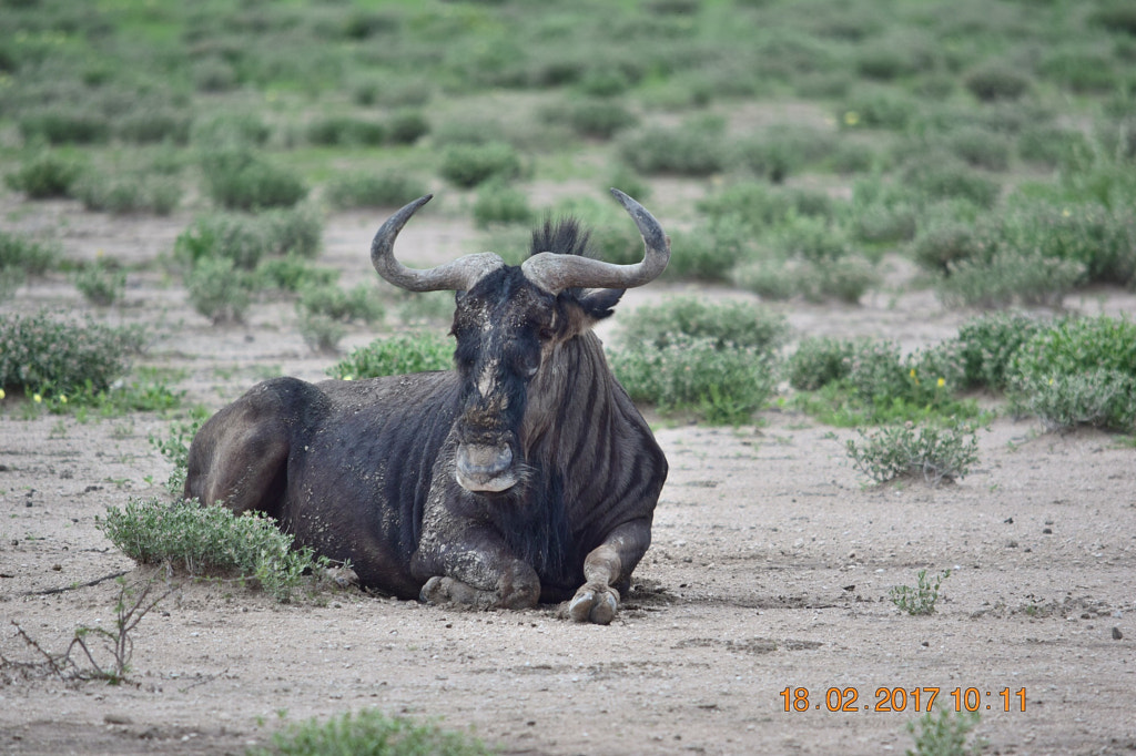 20 Of my top 100 photos so far by Jan Behr / 500px