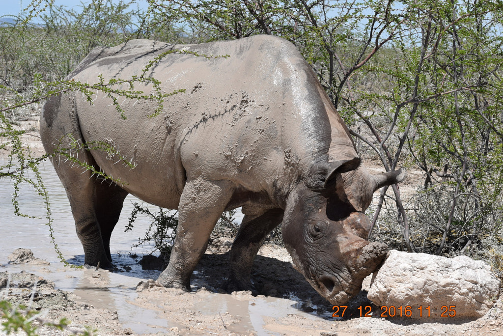 20 Of my top 100 photos so far by Jan Behr / 500px