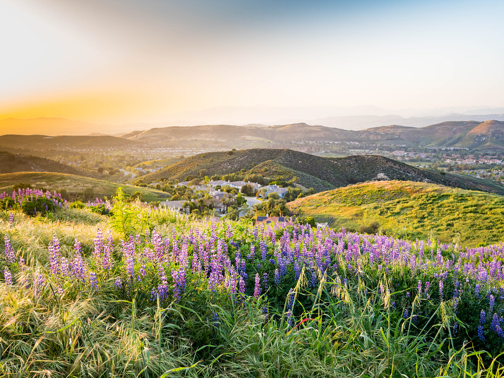 Simi valley hike by Jan Aleman / 500px