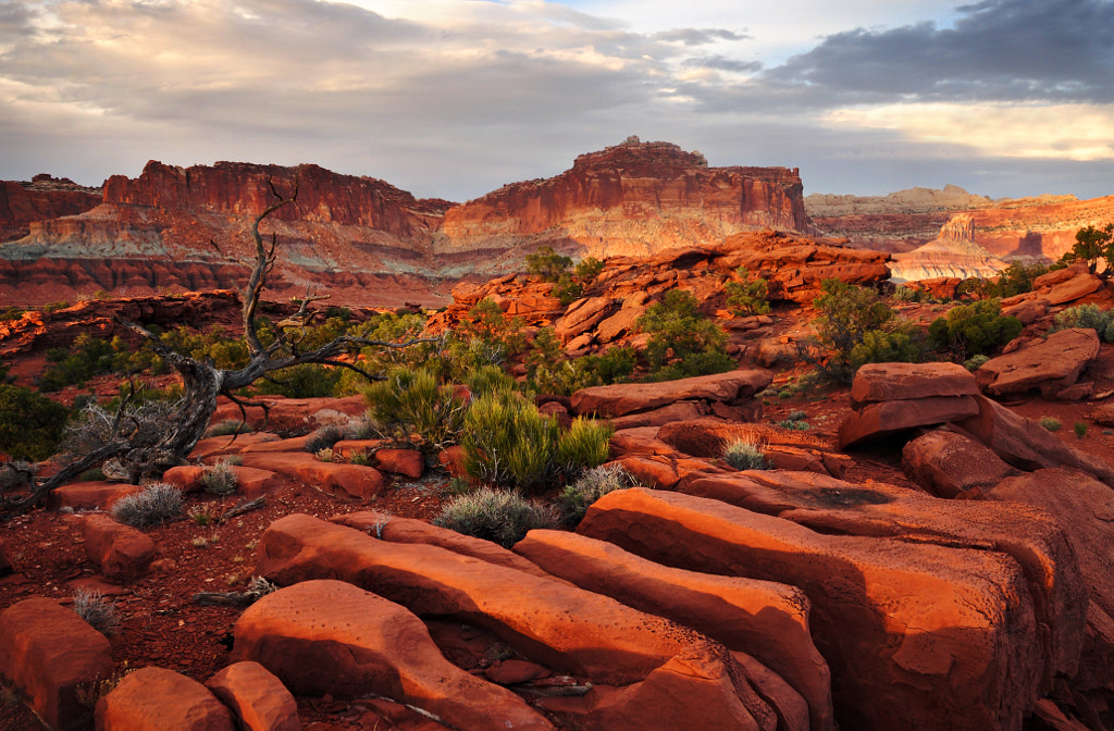Sunset Point, Capitol Reef National Park by Jeff Hackett / 500px