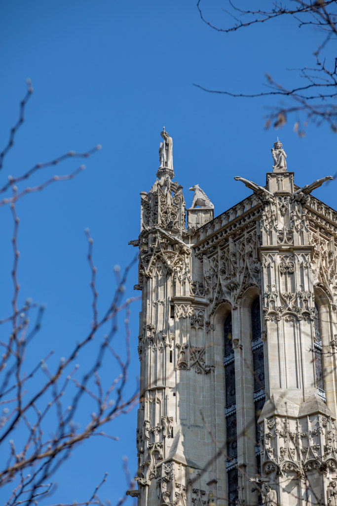 Tour St Jacques, starting point of the Camino by Maarten Hoek / 500px