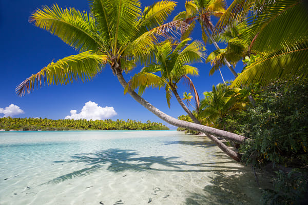 Tim Jordan (timcjordan) Profile / 500px