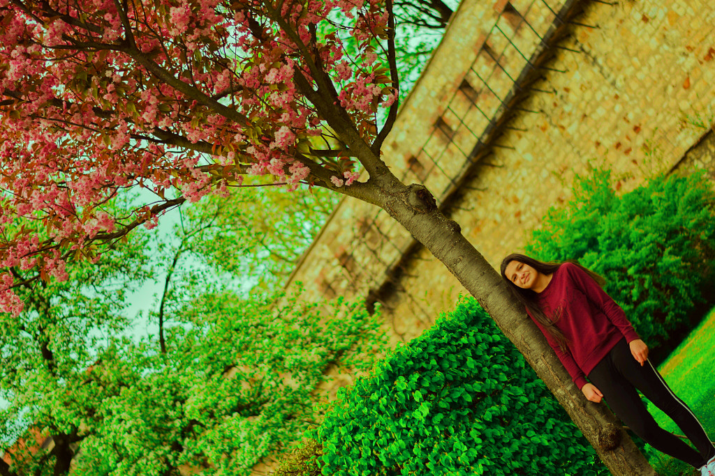 Anna stands on pink tree near Petřín. by Ivy Vu / 500px