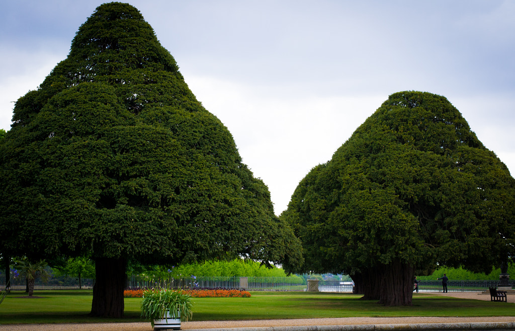 Hampton Court Palace by Marcus Parsons / 500px