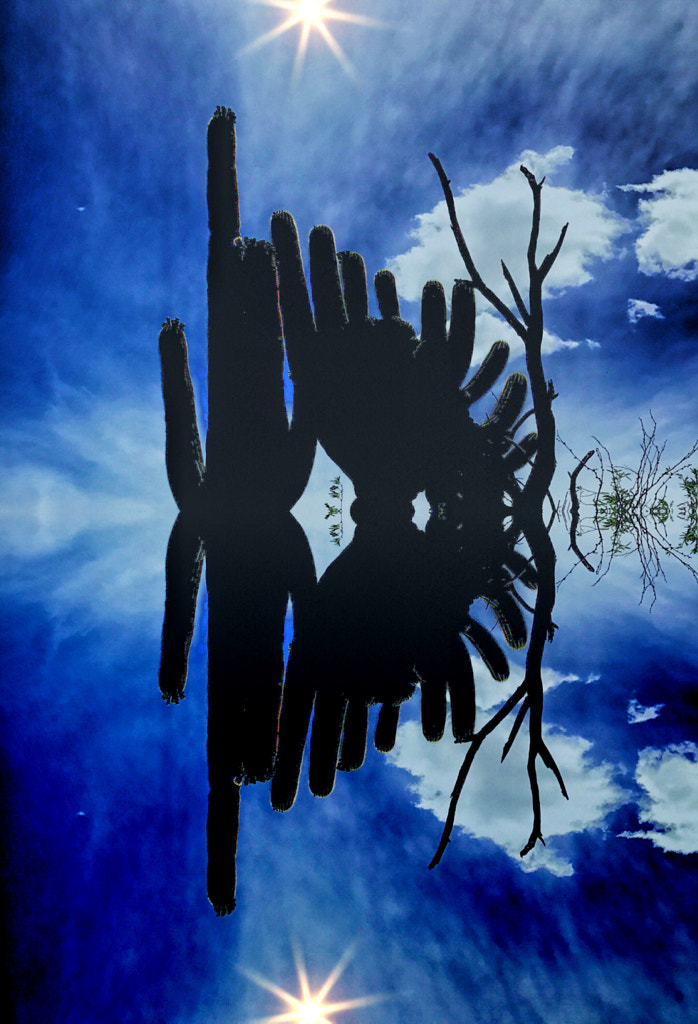 Two saguaros and one dead tree in silhouette and with the Reflect app ...