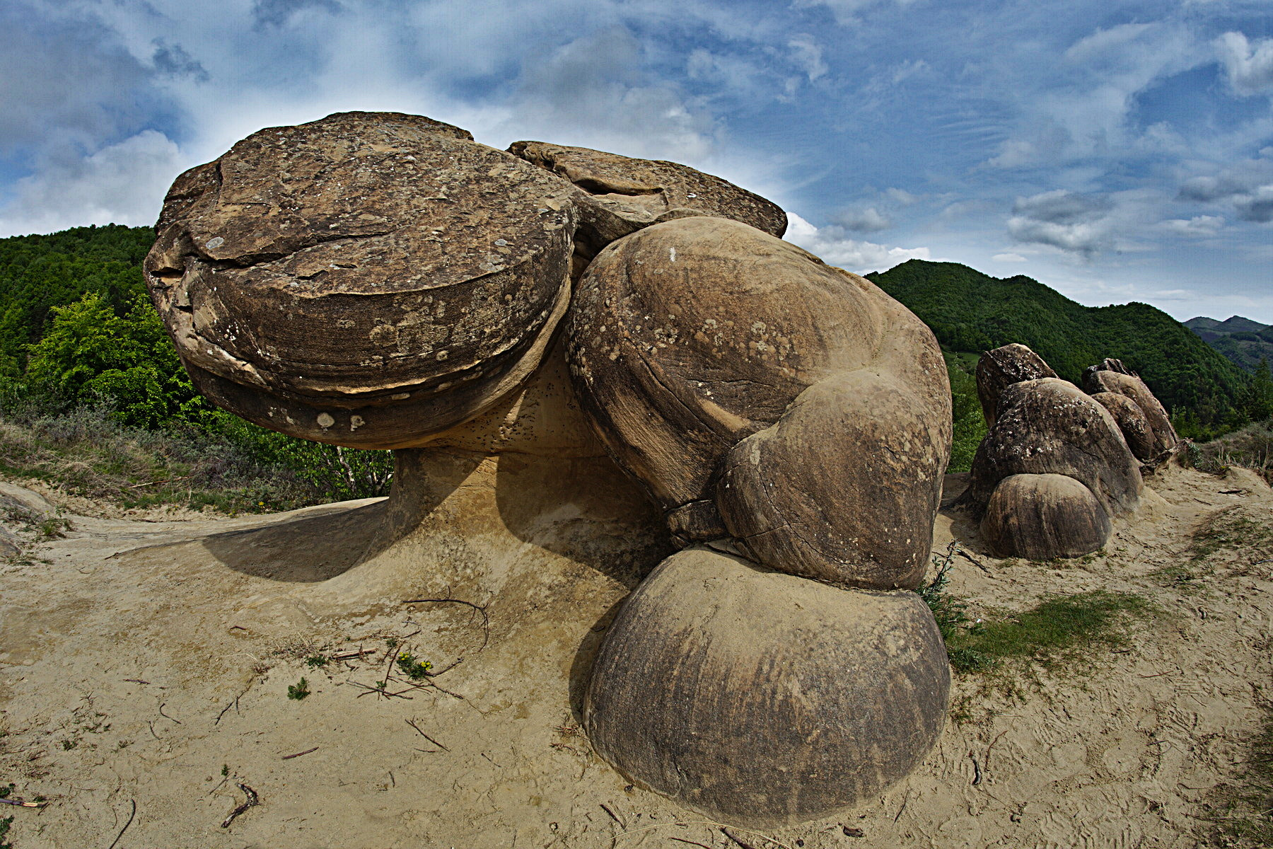 On its knees by Nicu Buculei / 500px