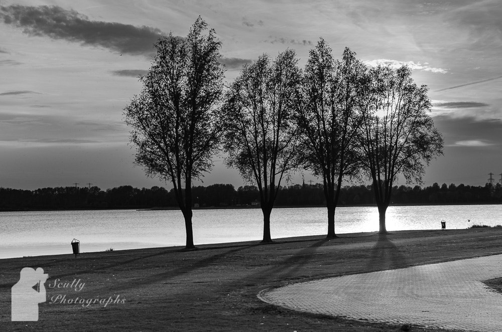 Roermond De Weerd 2 Scully Photographs Web by Michael Scully / 500px