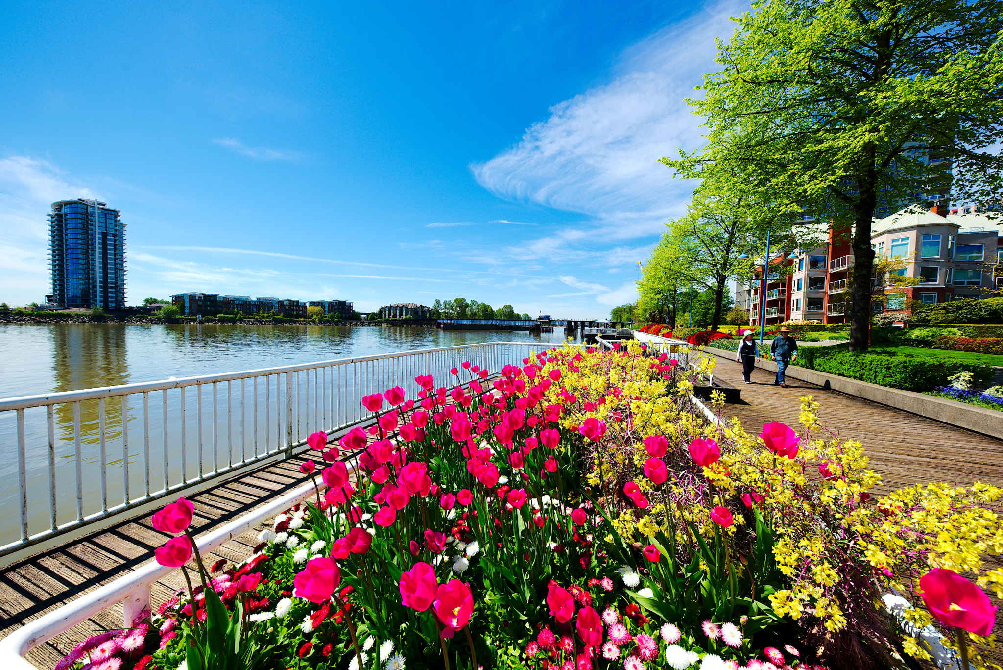 Spring in their Steps by Cas Balicki / 500px