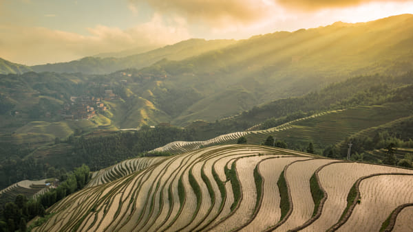 Magical Light Above by Alston Lim / 500px