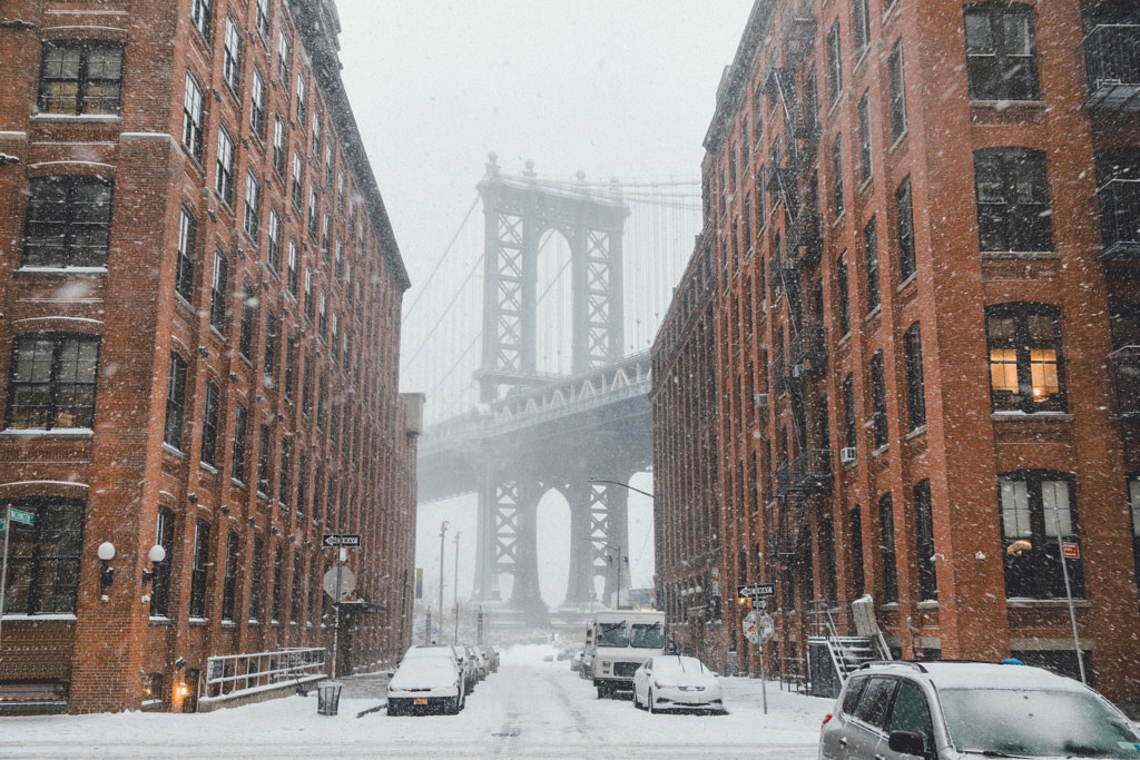 SamAlive by Sam Alive / 500px