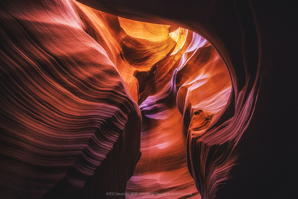 Birdman by Peter Coskun Nature Photography / 500px