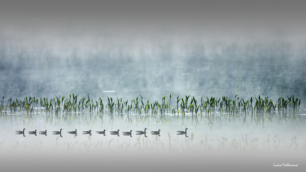 Easy riders by Andre Villeneuve / 500px