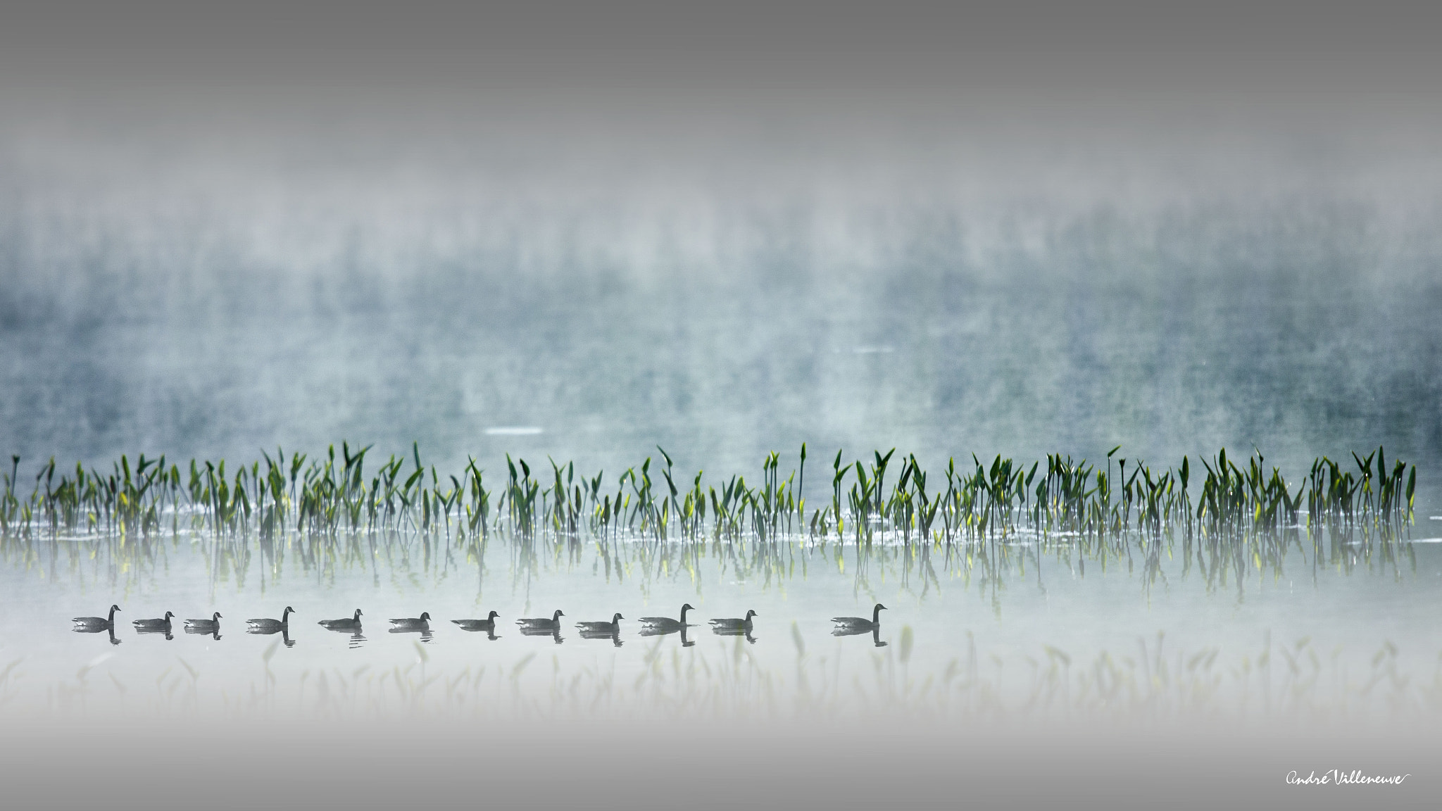 Easy riders by Andre Villeneuve / 500px