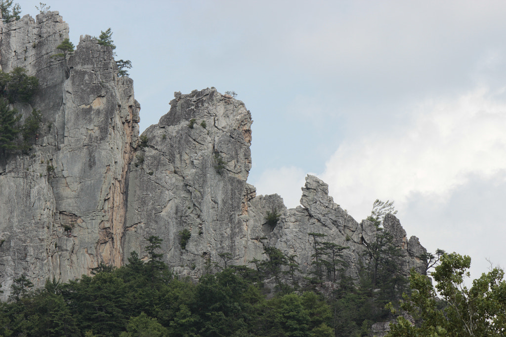 Seneca Rocks W VA by Frederik Scholpp / 500px
