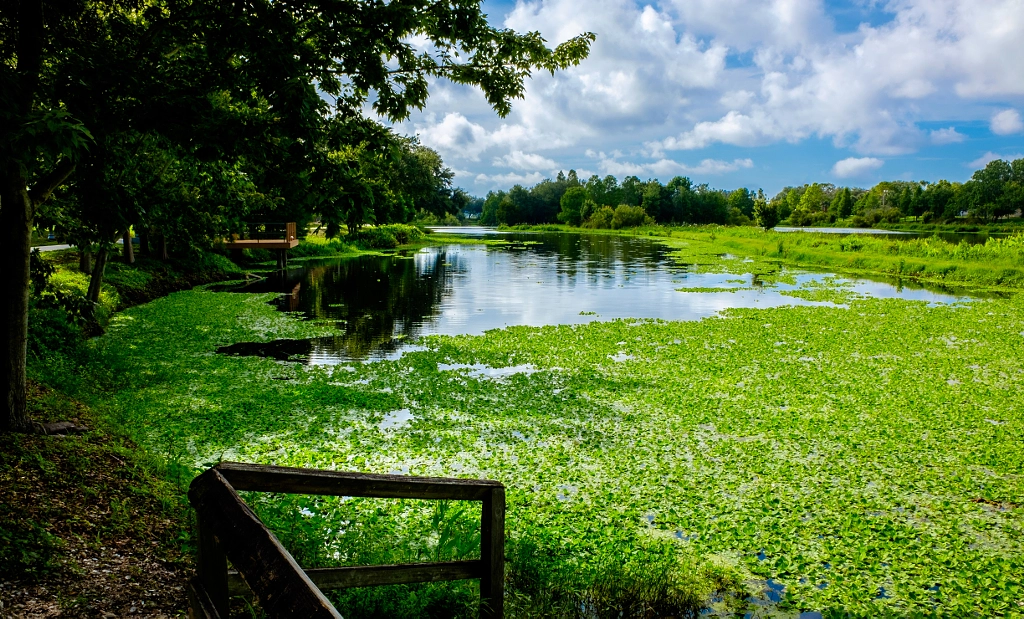 Lake Walter Fuller by Colin Ward / 500px