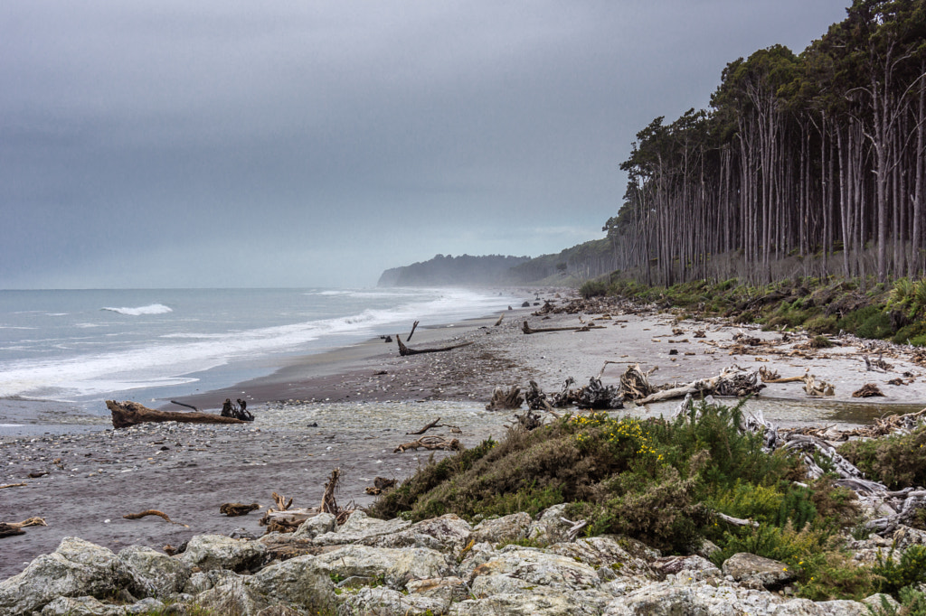 Bruce Bay by Jonas Alsleben / 500px