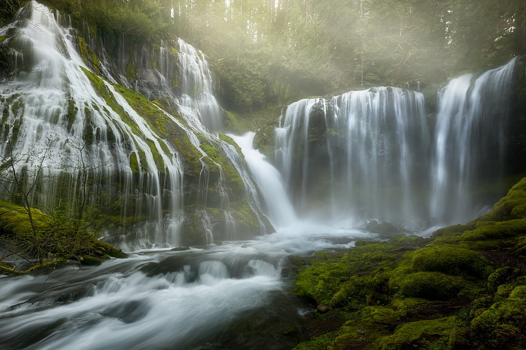 Fierce by Exploring Light / 500px