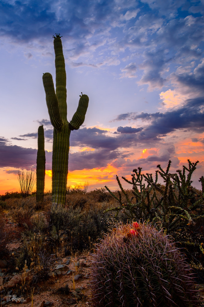 Rio Verde Sunset by Aaron Harris / 500px