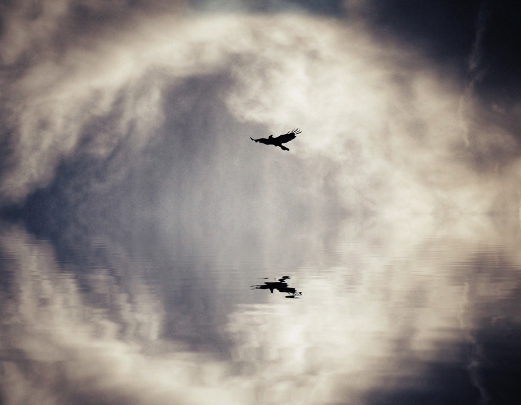 The stillness in the air between the heaves of storm by Dekka Entwistle ...