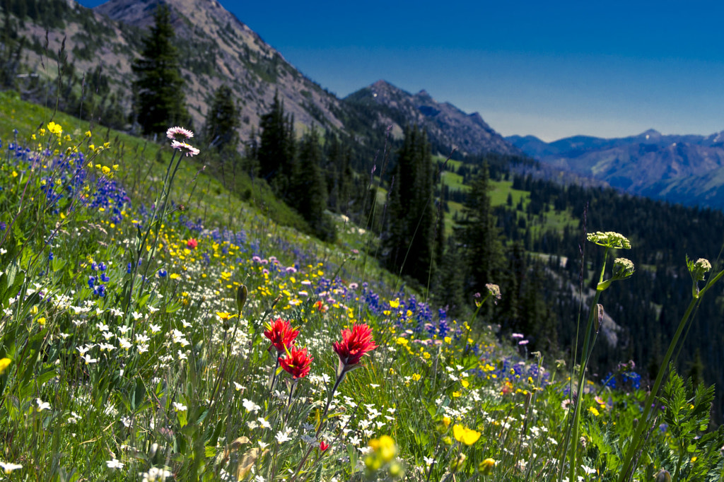 untitled by David Beckman / 500px