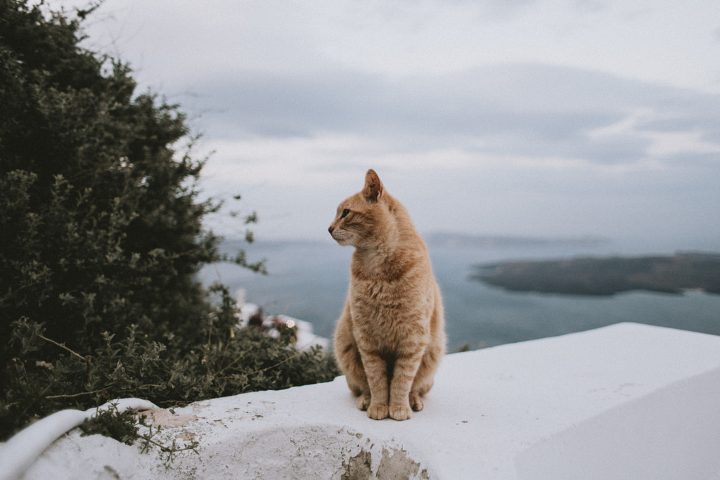 santorini ii by Sam Landreth / 500px