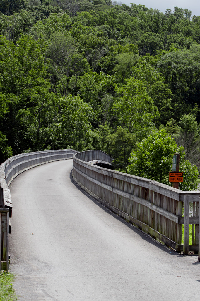 Walking Path Bridge by Kris Hatcher / 500px