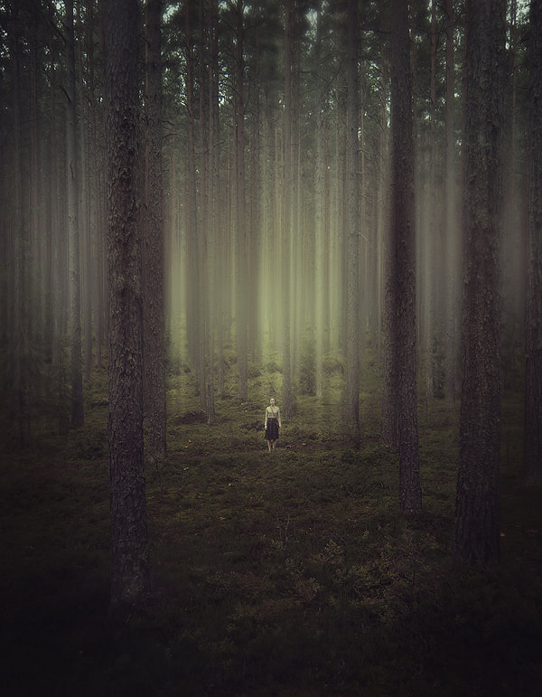 grow by KIRILL VORONTSOV / 500px