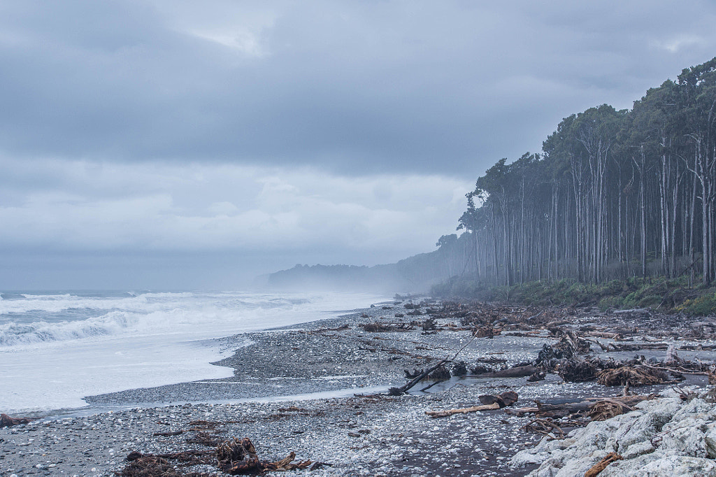 Bruce Bay, New Zealand by Irene Ni / 500px