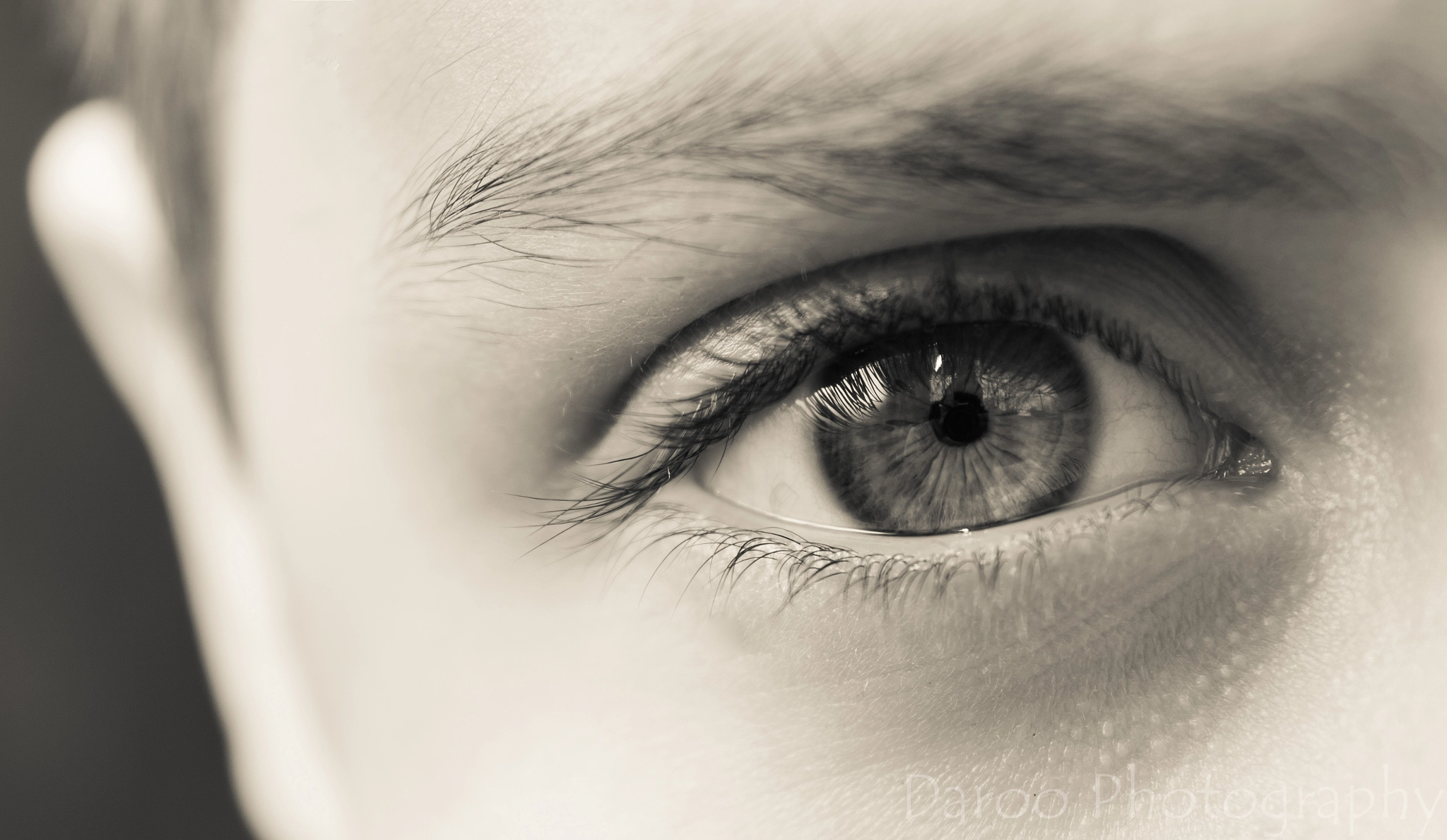 Daroo Photography (daroophotography) Photos / 500px