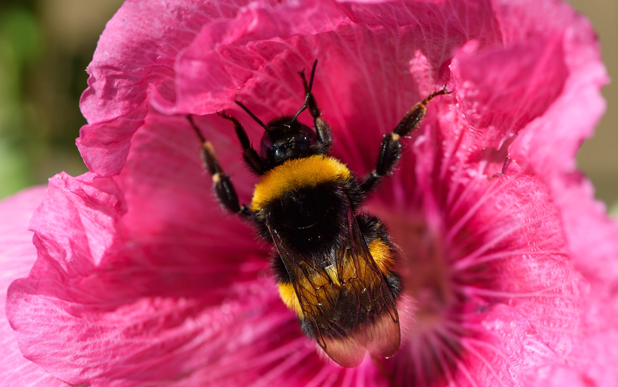 Angelo Balange - Photography (AngeloBalange) Photos / 500px