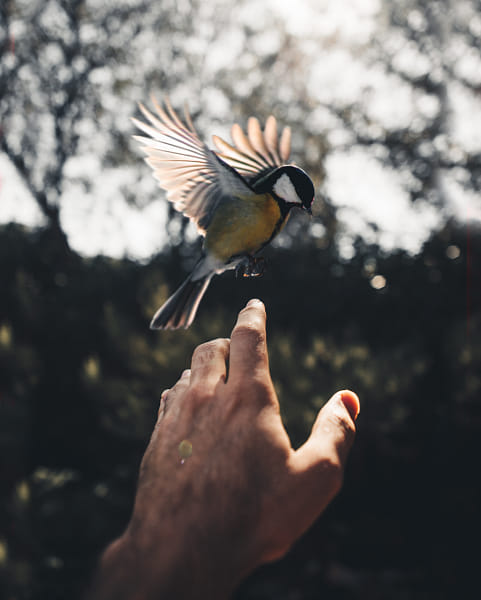 Connection with Nature | nature photo by Nacho Gonzalez | 500px