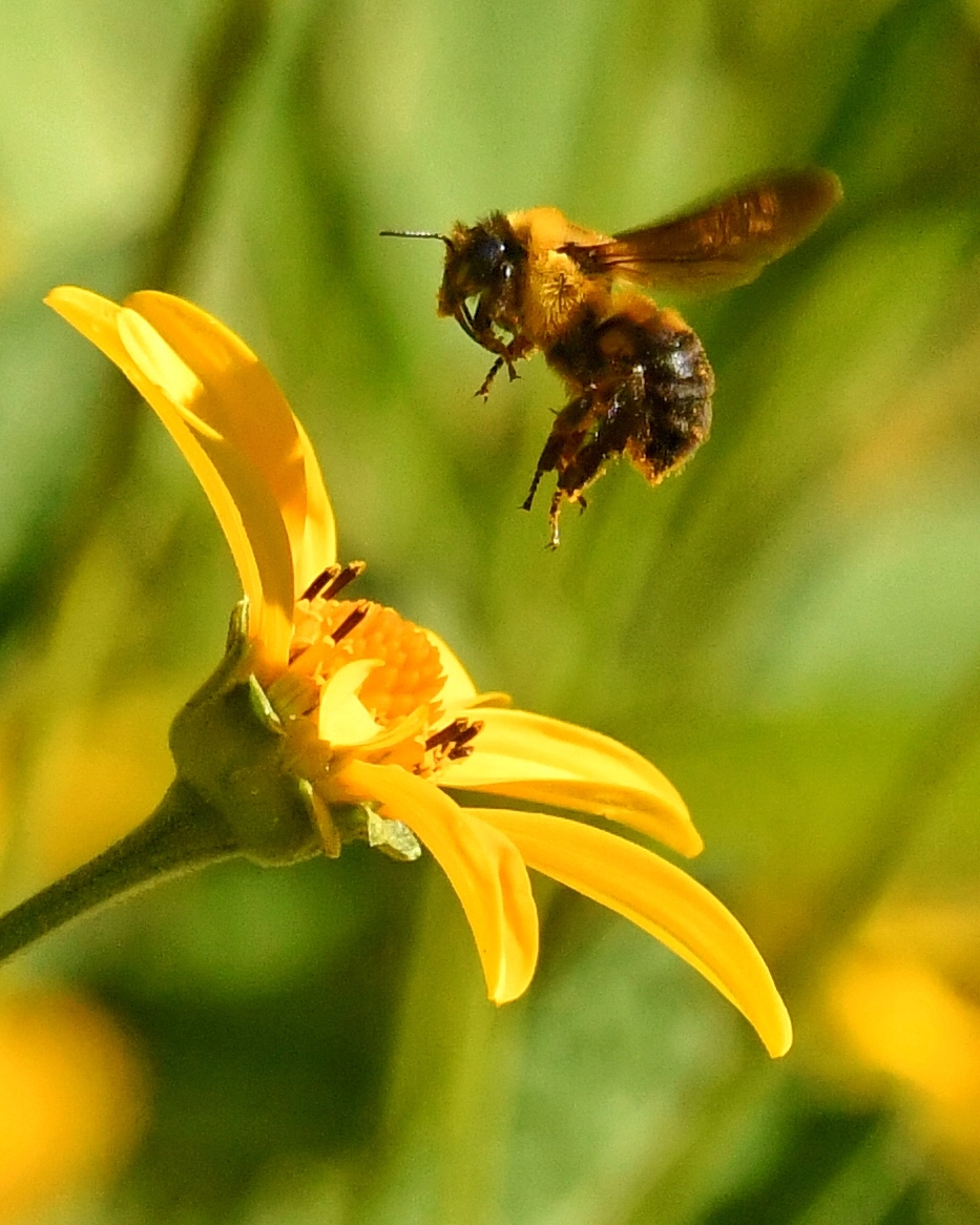 Jeff Clow (jeffclow) Photos / 500px