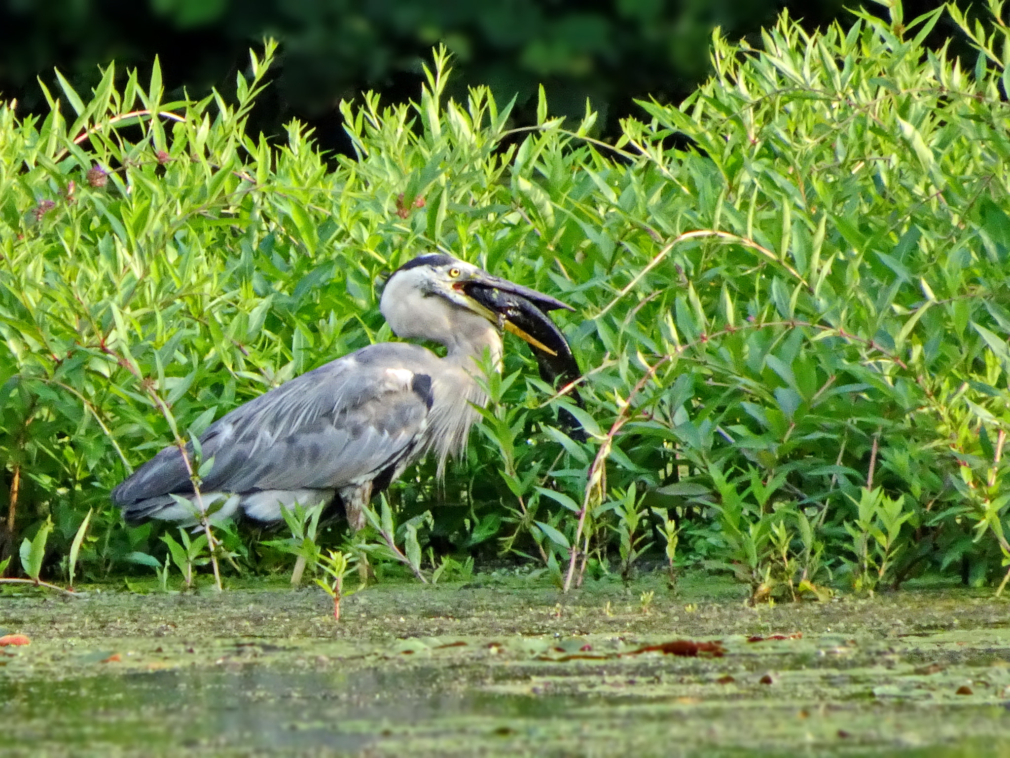 Lyuba Ivleva (fluba) Photos / 500px