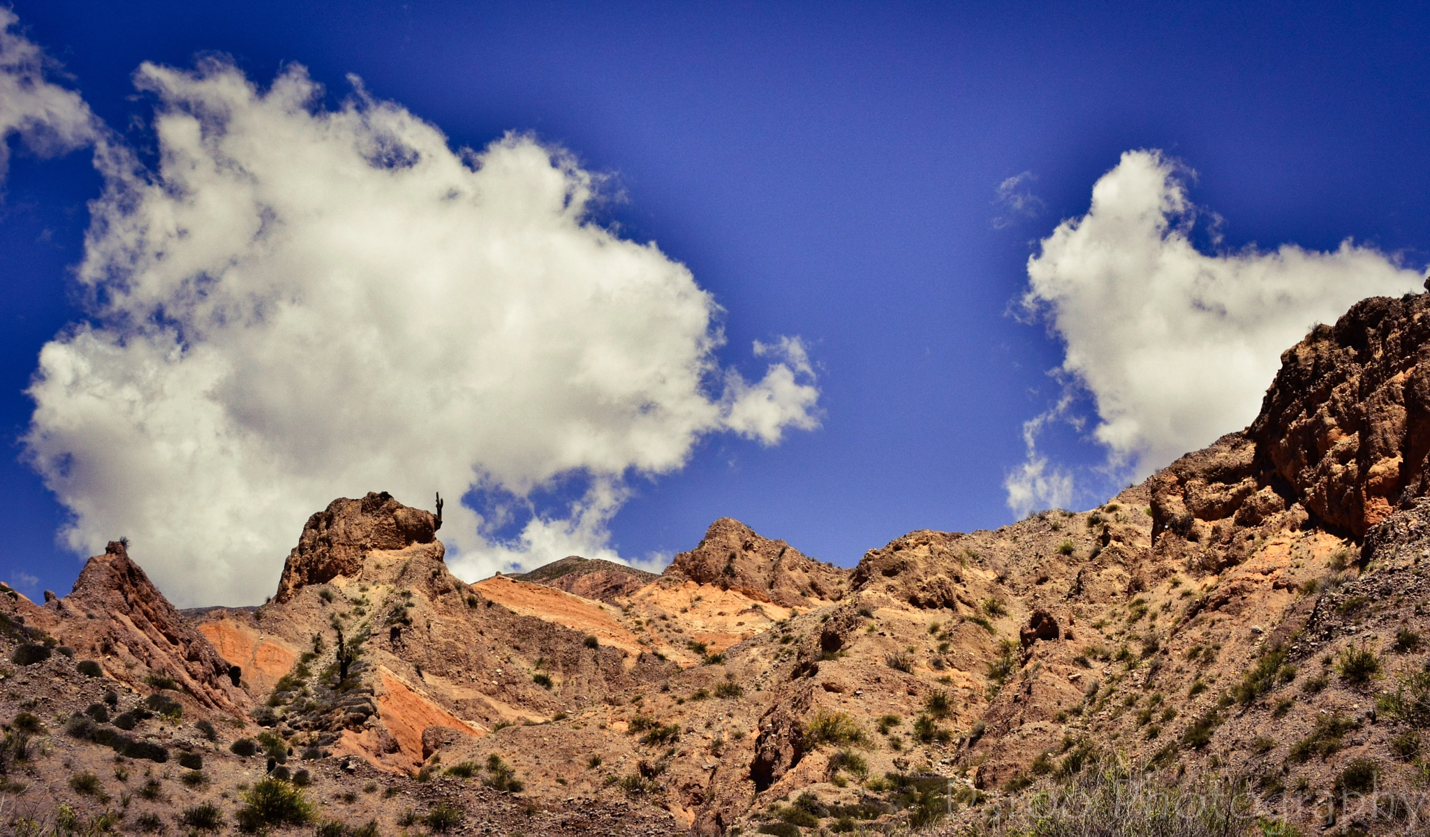 Daroo Photography (daroophotography) Photos / 500px