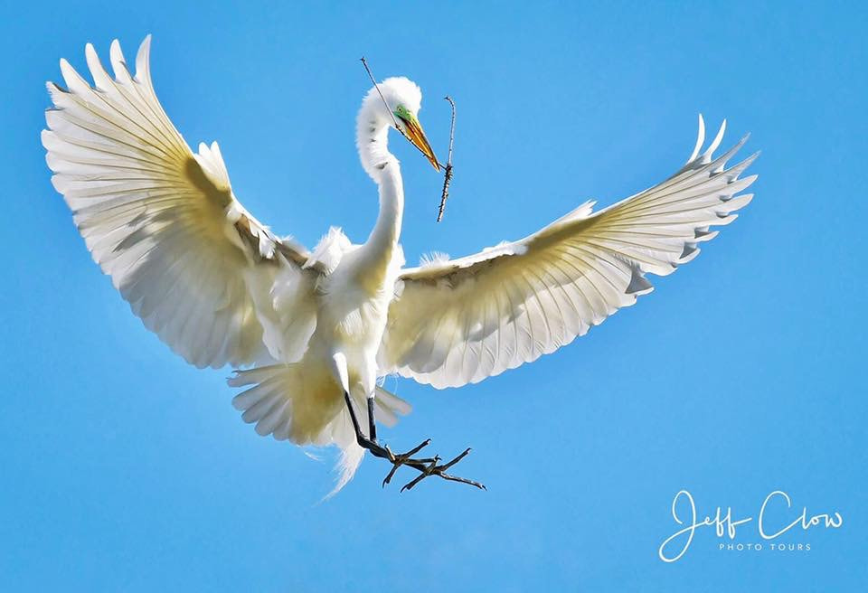 Jeff Clow (jeffclow) Photos / 500px